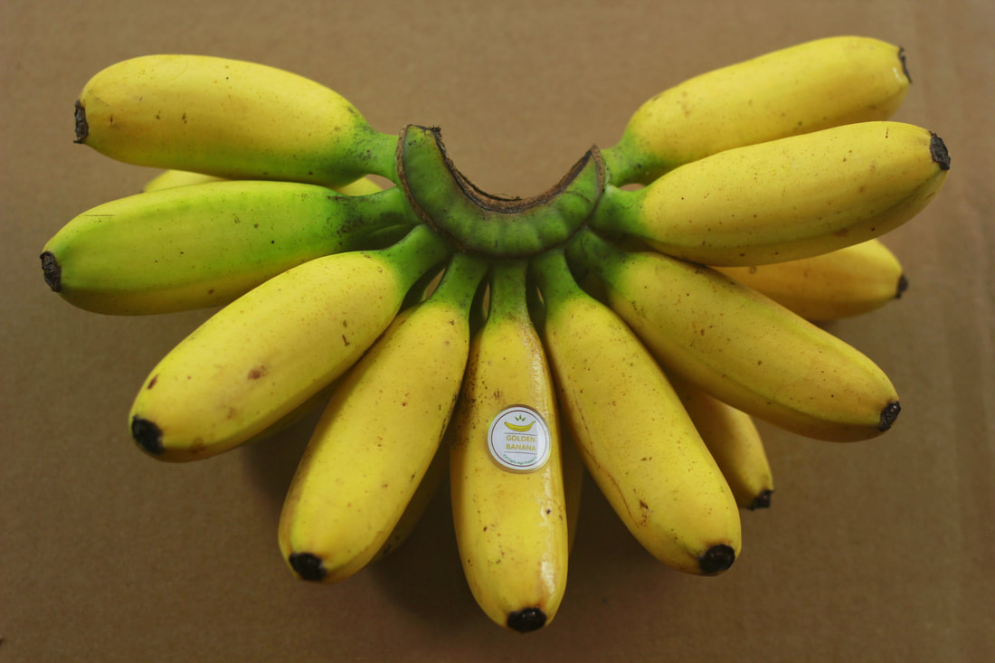 8 Jenis Pisang dan Olahannya yang Cocok. Jangan Asal, Nggak Semuanya ...