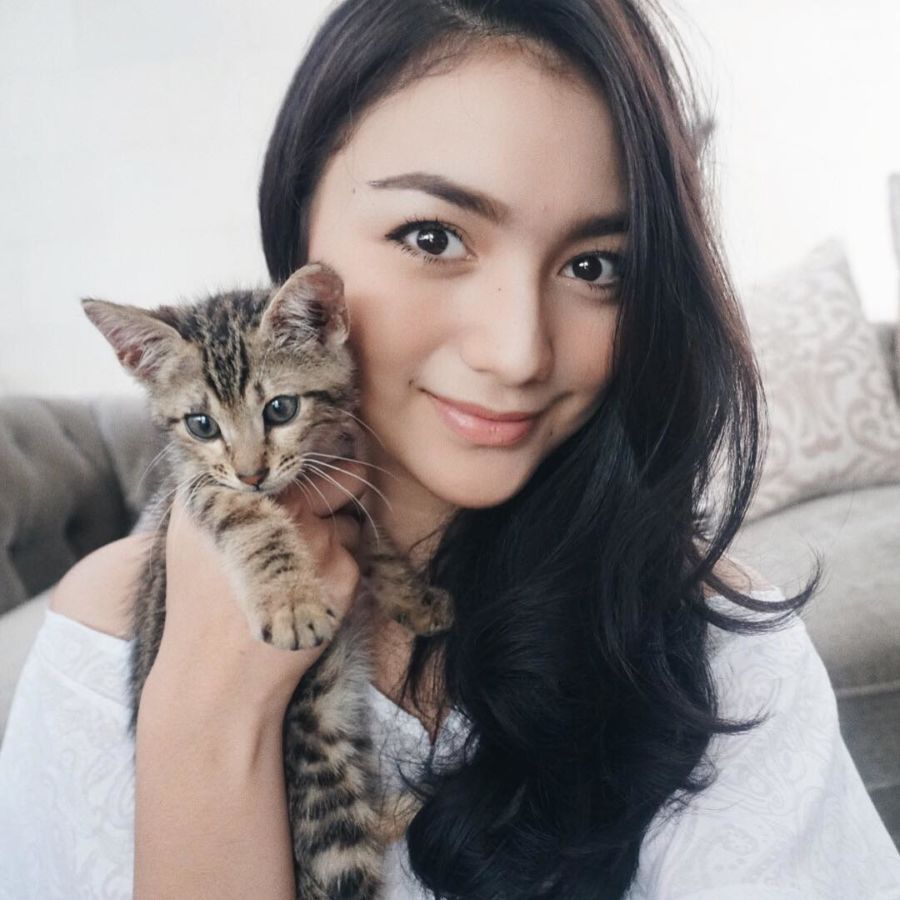 10 Artis yang Ternyata Bucing alias Budak Kucing. Sayang Banget sama ...