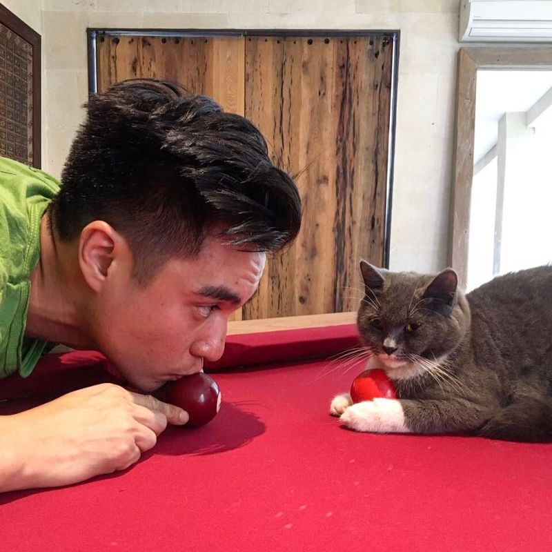 10 Artis yang Ternyata Bucing alias Budak Kucing. Sayang Banget sama ...