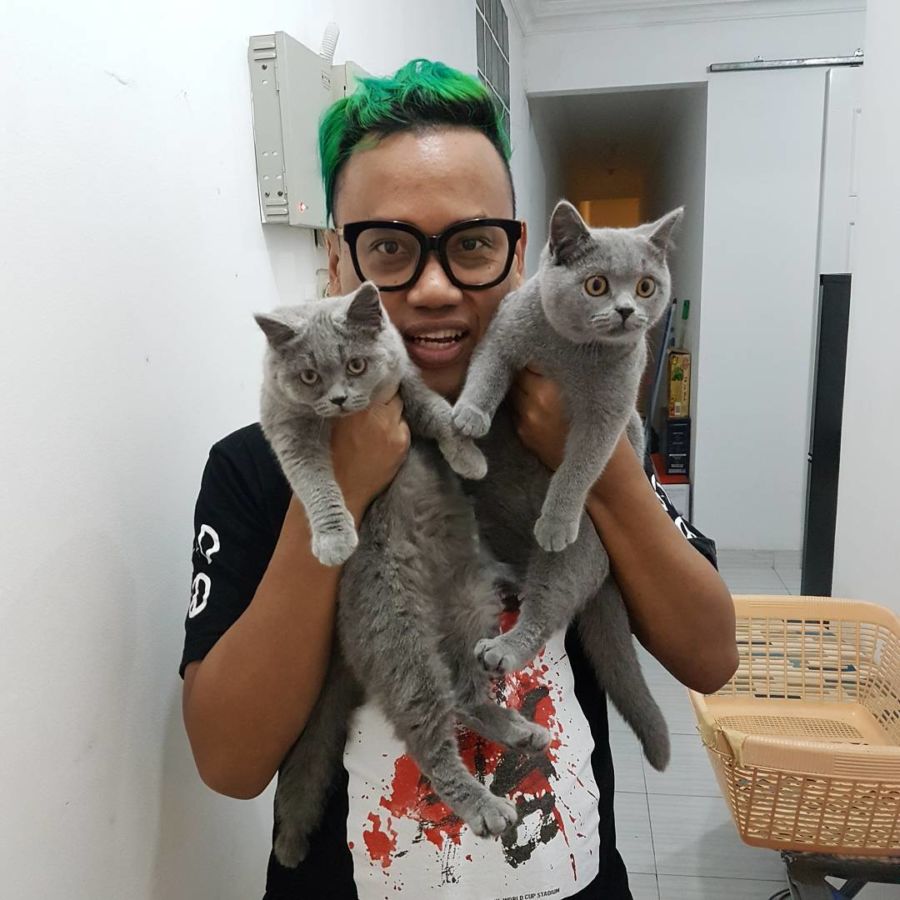 10 Artis yang Ternyata Bucing alias Budak Kucing. Sayang Banget sama ...