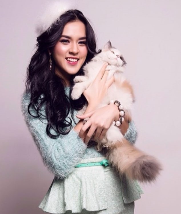 10 Artis yang Ternyata Bucing alias Budak Kucing. Sayang Banget sama ...