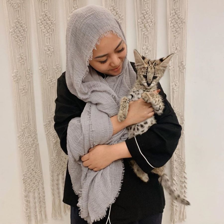 10 Artis yang Ternyata Bucing alias Budak Kucing. Sayang Banget sama ...