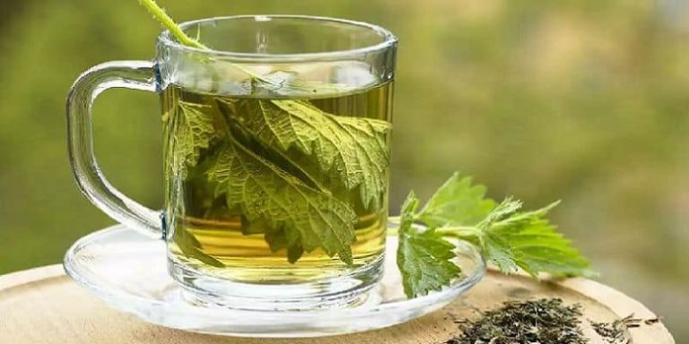 11 Macam Jamu Tradisional yang Khasiatnya Bisa Menggemukkan Badan ...