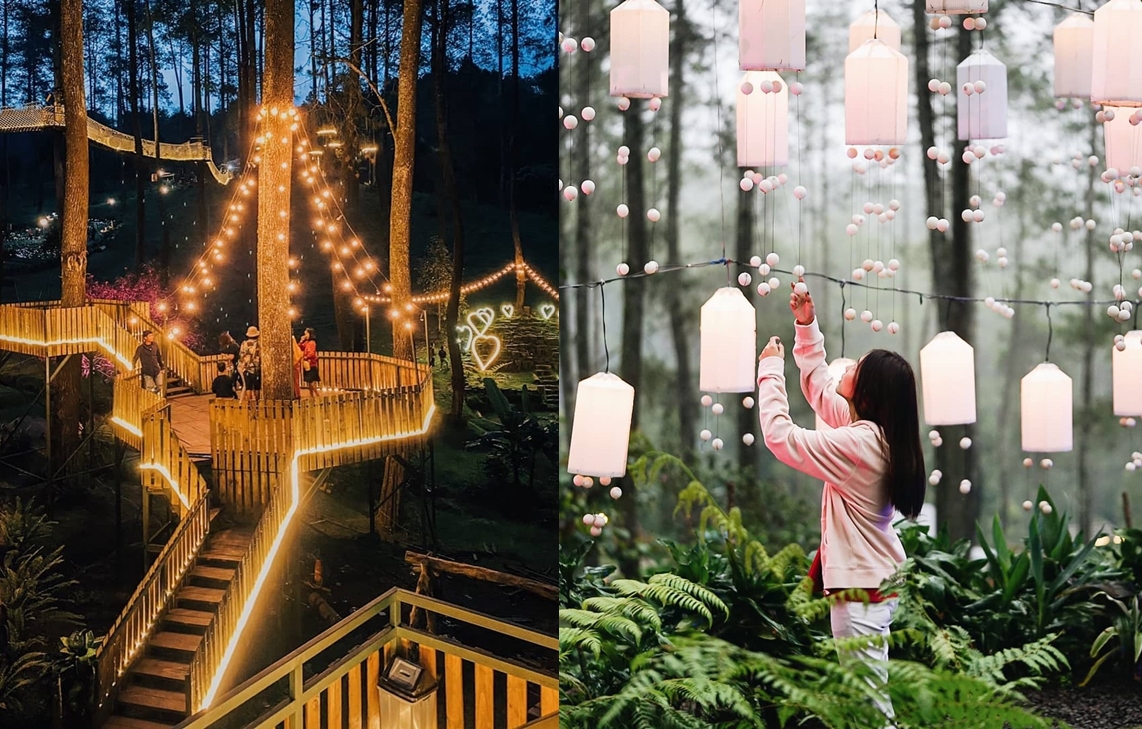 Orchid Forest Cikole, Destinasi Wisata dengan Suasana Alami yang ...