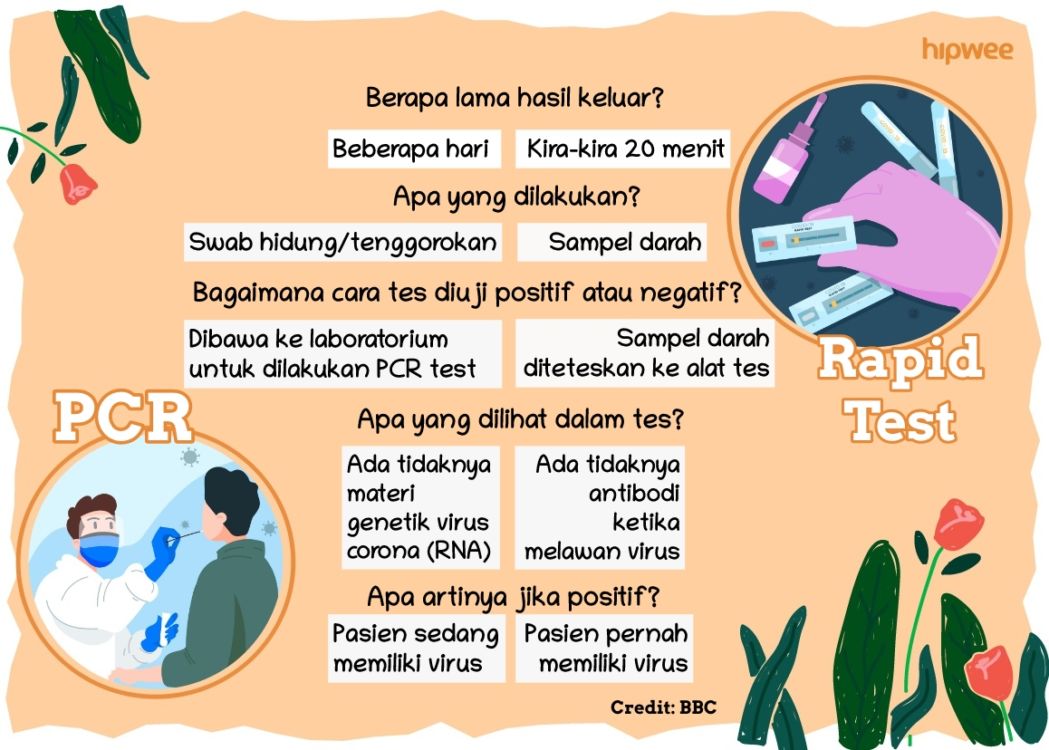 Mengenal Perbedaan 2 Jenis Tes Corona: Rapid Test dan PCR Test, Biar ...