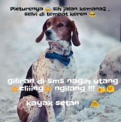11 Meme Orang Utang yang Acapkali Nggak Ada Akhlak. Relate Banget sama ...