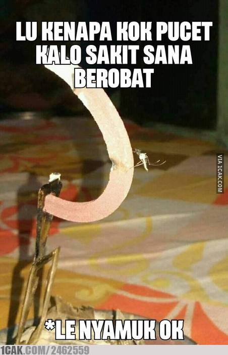 11 Potret Nyamuk Super yang Berani Tantang Maut. Nyalinya Gede Banget ...
