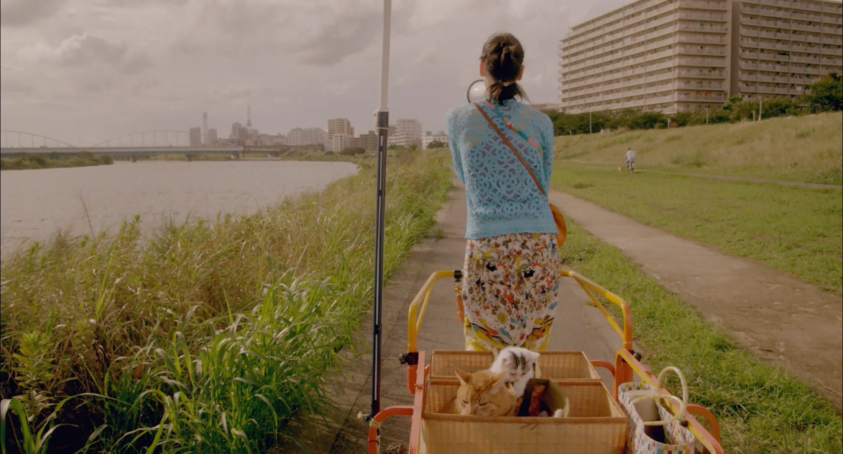 7 Rekomendasi Film Tentang Kucing. Jangan Ngaku Pecinta Kocheng Kalau ...