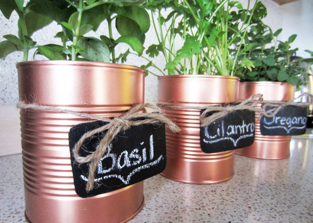 6 Jenis Material Pot Bunga dan Plus Minusnya. Nggak Semuanya Cocok Jadi ...