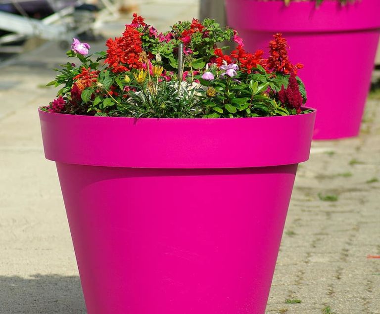 6 Jenis Material Pot Bunga dan Plus Minusnya. Nggak Semuanya Cocok Jadi ...