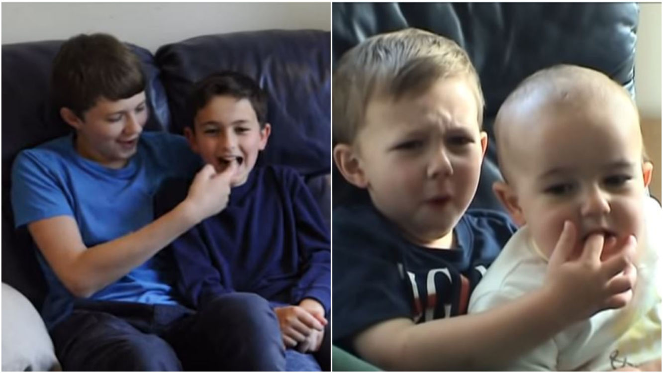 Laku 10,8 Miliar, Video Viral "Charlie Bit My Finger" akan Dihapus dari ...