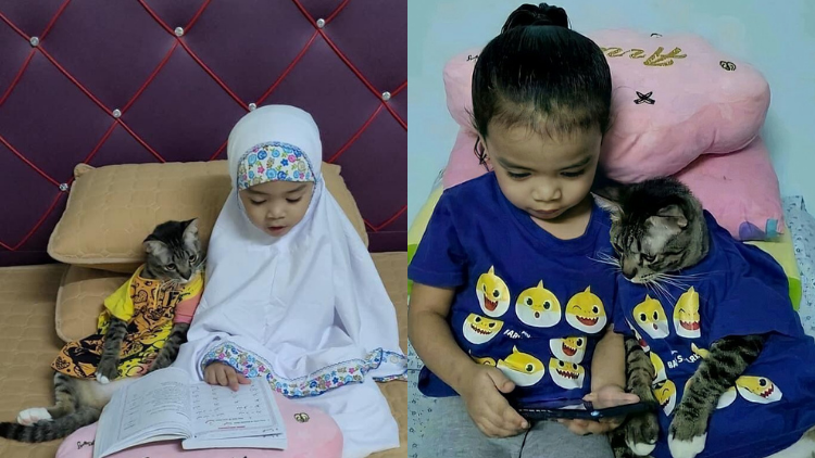 Viral Warganet Beli Kucing agar Anaknya Nggak Main HP Terus, Ujung ...