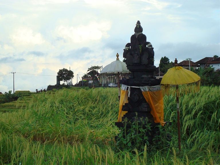 Mengenal Nilai Budaya dan Makna Filosofi Subak. Sistem Irigasi ...
