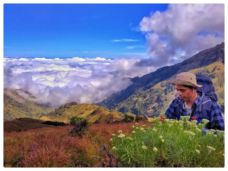 Petik Edelweis di Taman Nasional Gunung Rinjani, Sepasang Wisatawan di ...