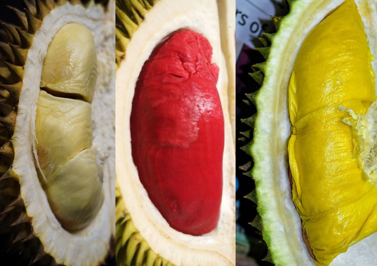 Daftar Jenis Durian Unggul yang Enak & Paling Favorit
