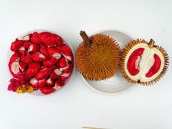 Daftar Jenis Durian Unggul yang Enak & Paling Favorit