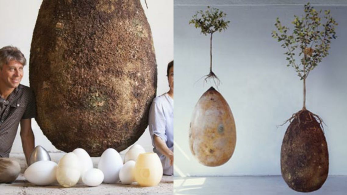 Melalui Beberapa Inovasi Ini, Jasad Manusia Bisa Tetap Bermanfaat ...