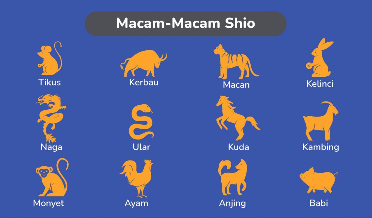 Lihai Berkomunikasi dengan Mengetahui Sifat Orang Sesuai Shio. Intip ...