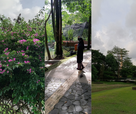 5 Potret Menyusuri Wisdom Park Wisata Baru di Yogyakarta, Sejuk dan ...