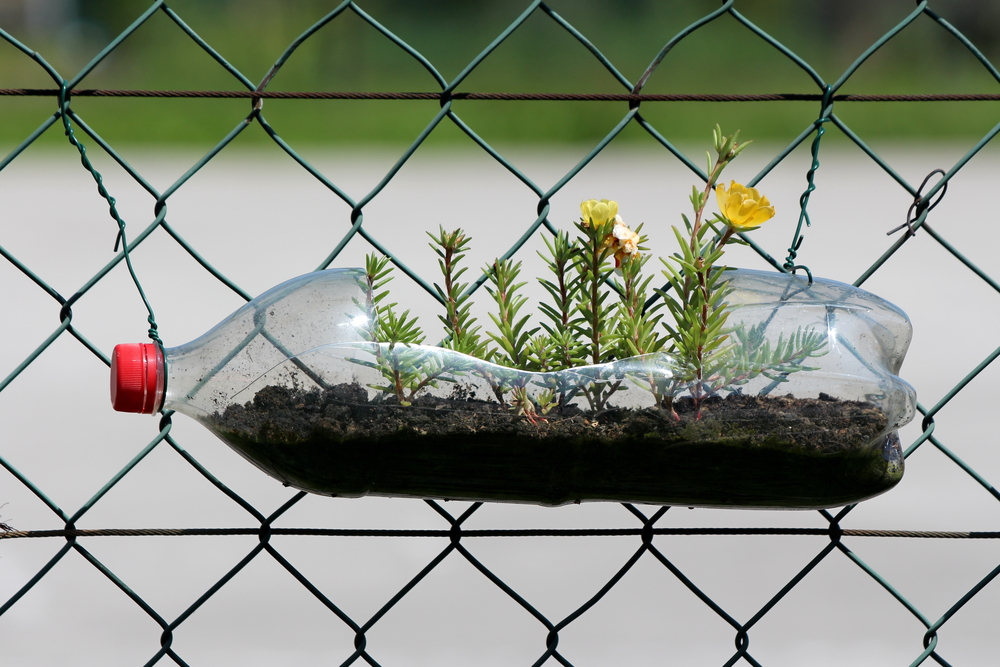 6+ Cara Membuat Pot Bunga dari Botol Bekas