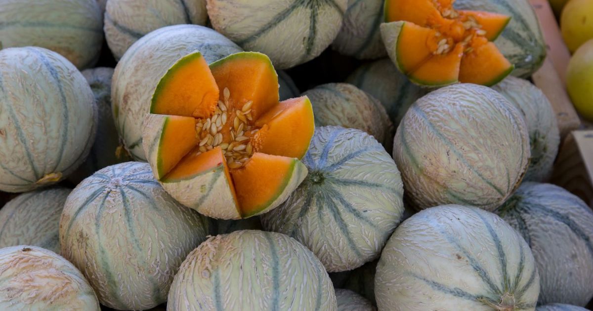 8 Tips Memilih Blewah yang Manis dan Segar. Cocok untuk Teman Takjil