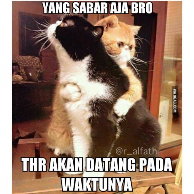 Kumpulan Meme Menantikan THR. Menghibur Diri Sambil Menanti yang Belum ...