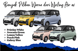 7 Hal Ini Jadi Alasan Memilih Wuling Air ev Mobil Listrik untuk Masa ...