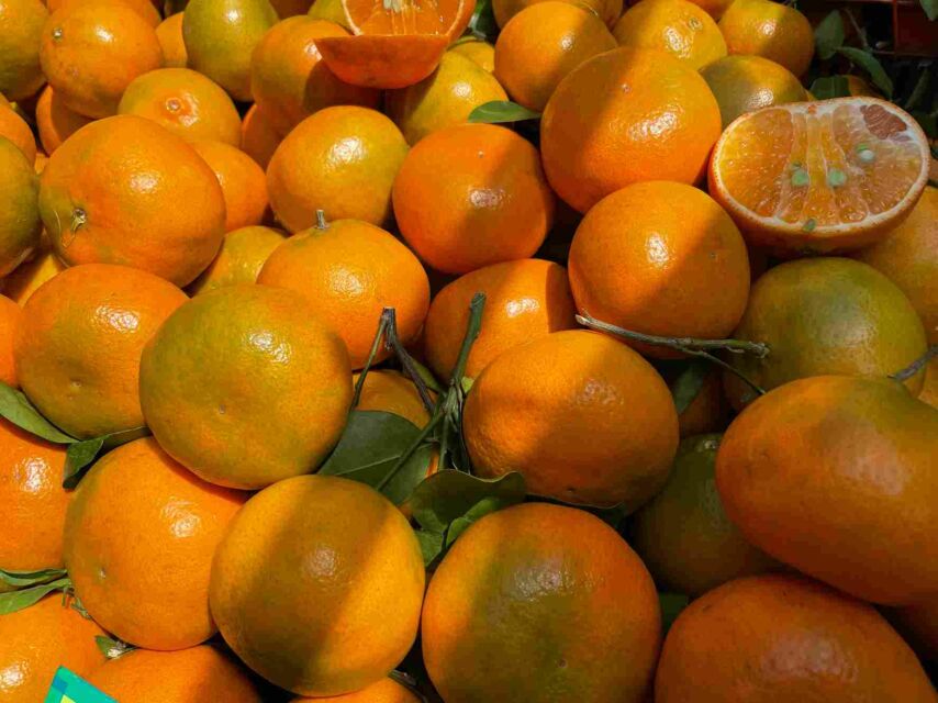 5 Manfaat Jeruk Yang Wajib Kalian Tahu Bagi Kesehatan Tubuh