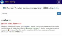 Penggunaan Kata 'Slebew' Bisa Berujung Pemblokiran oleh Kominfo, Begini Alasannya!