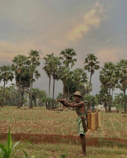 Melirik Tradisi Nitik