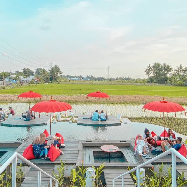 5 Rekomendasi Restoran Sejuk dengan Nuansa Alam di Tengah Kota Yogyakarta