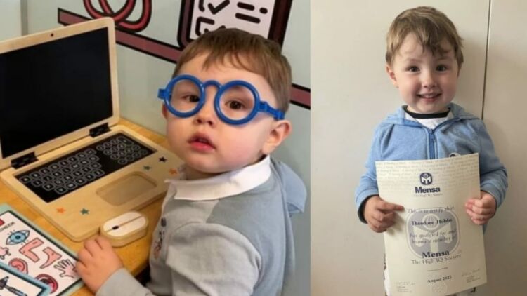 Teddy Hobbs, Bocah Jenius Bisa Baca di Usia 2 Tahun dan Punya IQ di ...