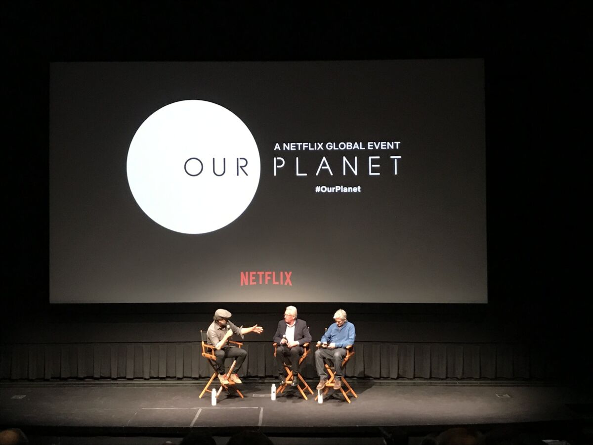 Menyelami Kecantikan Bumi dari Serial Netflix Our Planet