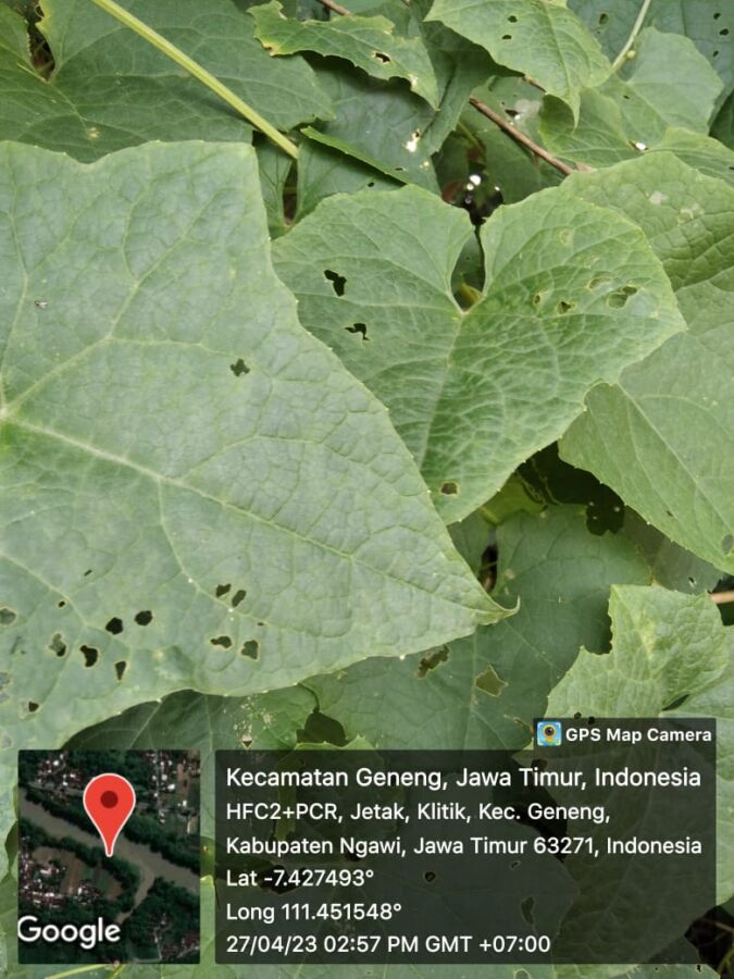 5 Alasan Jurusan Agribisnis Pertanian Harus Dipilih